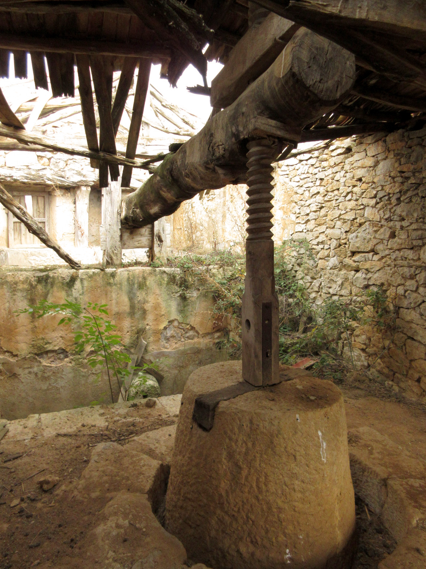 Lagares en Castilla y León: el lagar de viga o lagar común